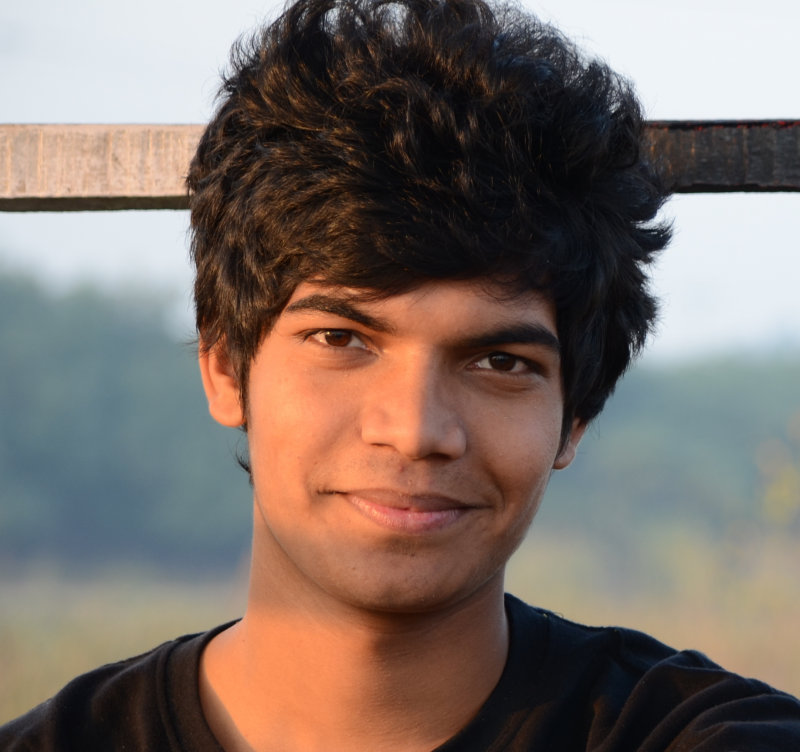 Ankit Mishra's Author Page - Notion Press | India's largest book publisher