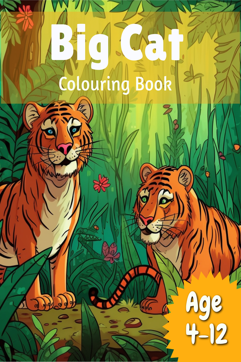 Big Cat Colouring Book