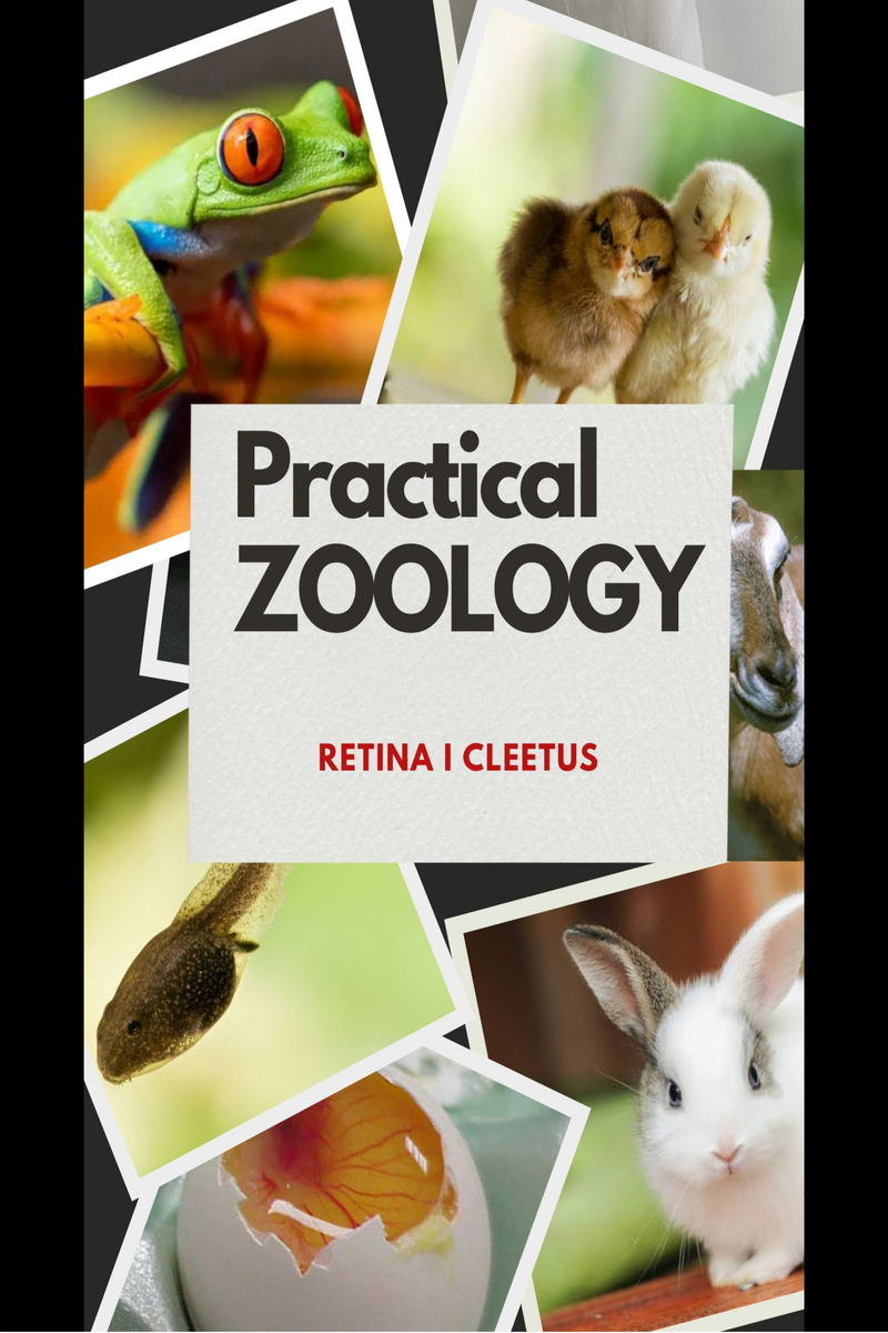Practical Zoology