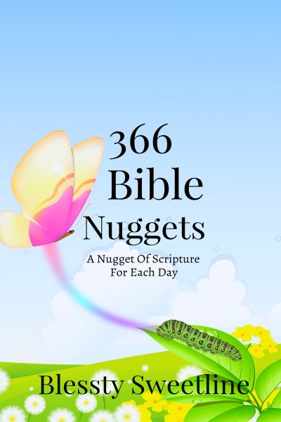 366 Bible Nuggets