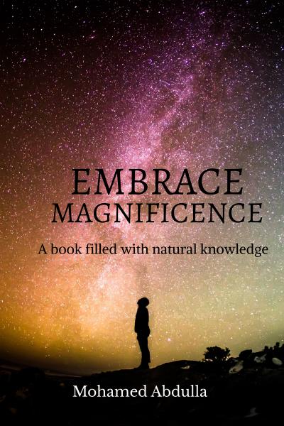 Embrace Magnificence